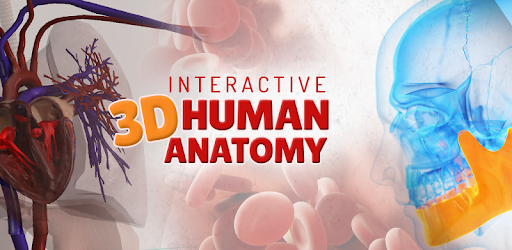 Human Body Anatomy 3D - Free for PC - Free Download & Install on ...