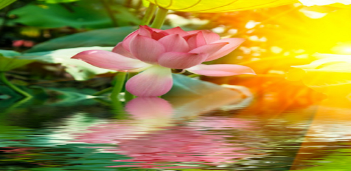 Buddhist Sutras for PC - Free Download & Install on Windows PC, Mac