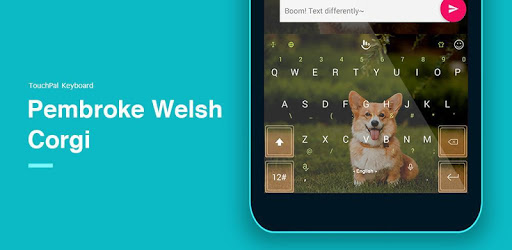 Welsh Corgi Keyboard Theme for PC - Free Download & Install on Windows ...