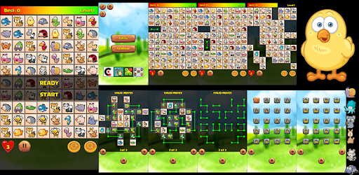 Connect Animal for PC - Free Download & Install on Windows PC, Mac