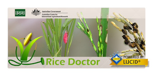 Rice Doctor for PC - Free Download & Install on Windows PC, Mac