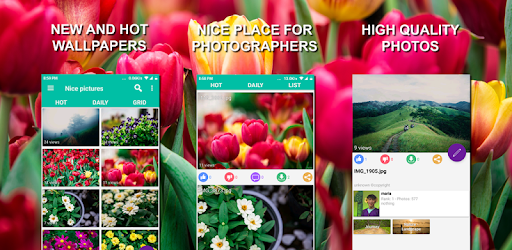 Share Photos: HD Wallpapers, 4K Backgrounds for PC - Free Download ...
