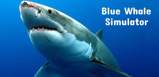 Blue Whale Simulator : Blue Whale VR for PC - Free Download & Install ...