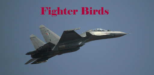 Fighter Birds for PC - Free Download & Install on Windows PC, Mac