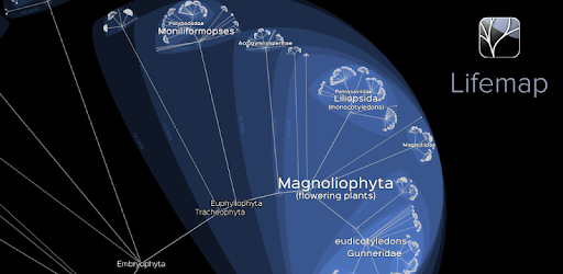 Lifemap - Tree of Life for PC - Free Download & Install on Windows PC, Mac