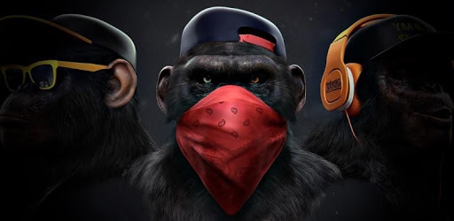 Monkey Lock Screen & Wallpaper for PC - Free Download & Install on ...