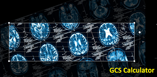 GCS Calculator for PC - Free Download & Install on Windows PC, Mac