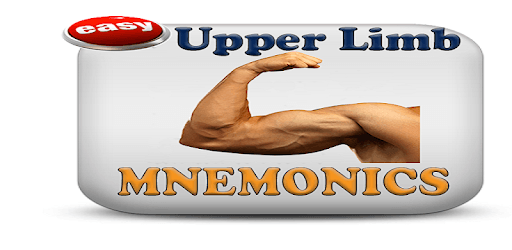 Upper Limb Mnemonics for PC - Free Download & Install on Windows PC, Mac