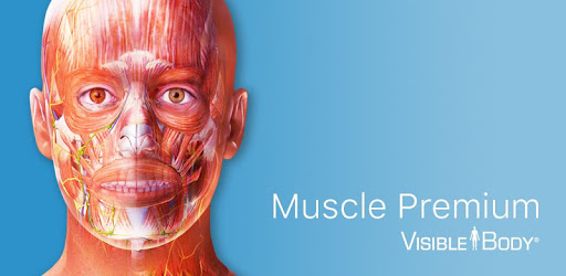Muscle Premium Subscription for PC - Free Download & Install on Windows ...
