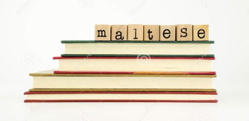 Learn Maltese for PC - Free Download & Install on Windows PC, Mac