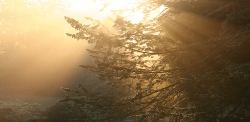 Available Light for PC - Free Download & Install on Windows PC, Mac