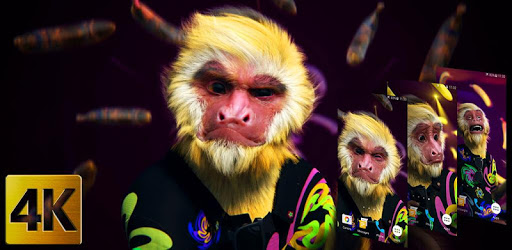 Dance Monkey 4K Live Wallpaper for PC - Free Download & Install on ...
