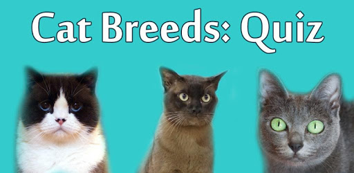Cat Breeds: Quiz for PC - Free Download & Install on Windows PC, Mac