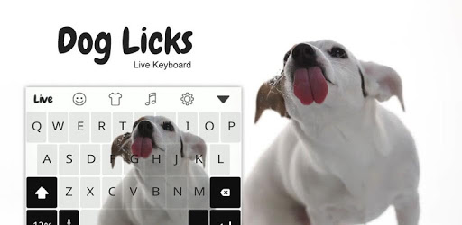 Dog Licking Keyboard Animated for PC - Free Download & Install on ...