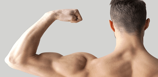 Muscle Editor - Bodybuilding for PC - Free Download & Install on ...