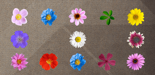 Flower widget for PC - Free Download & Install on Windows PC, Mac