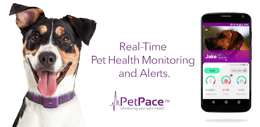 PetPace - Monitor Pets' Health for PC - Free Download & Install on ...