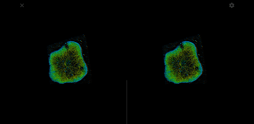 Microscope VR Viewer for PC - Free Download & Install on Windows PC, Mac