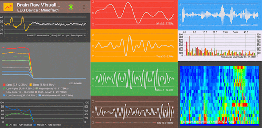 Brain Raw Visualizer Demo for PC - Free Download & Install on Windows ...