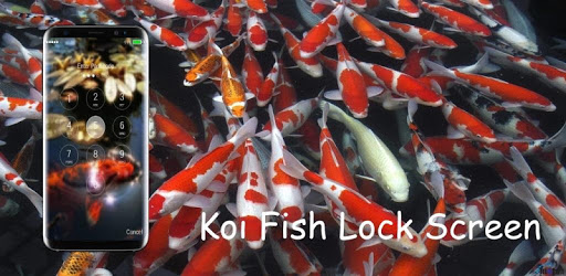Koi Fish Lock Screen for PC - Free Download & Install on Windows PC, Mac