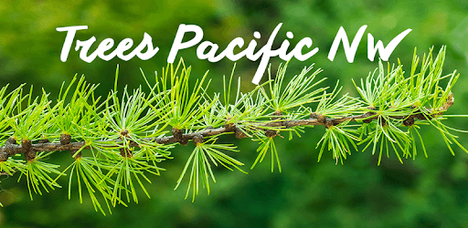Trees PNW for PC - Free Download & Install on Windows PC, Mac