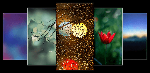 Blur Wallpaper (4k) for PC - Free Download & Install on Windows PC, Mac