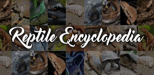 Reptile Animal Encyclopedia for PC - Free Download & Install on Windows ...