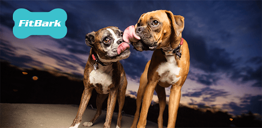 FitBark for PC - Free Download & Install on Windows PC, Mac