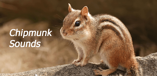 Appp.io - Chipmunk Sounds for PC - Free Download & Install on Windows PC, Mac