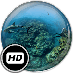 Panorama Wallpaper: Diving for PC - Free Download & Install on Windows ...