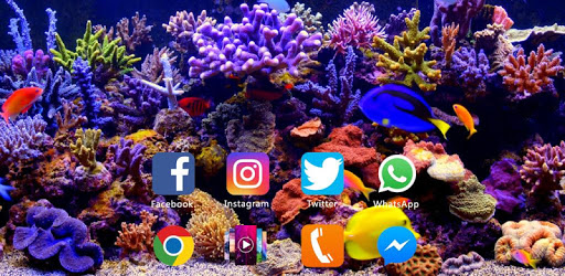 HD Video Wallpapers for PC - Free Download & Install on Windows PC, Mac