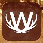 Word Wild for PC - Free Download & Install on Windows PC, Mac