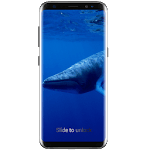 Blue Whale for PC - Free Download & Install on Windows PC, Mac