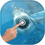 Magic Touch - Shark In Water for PC - Free Download & Install on ...