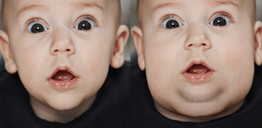 Fatify - Make Yourself Fat App for PC - Free Download & Install on ...