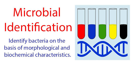 Microbial Identification for PC - Free Download & Install on Windows PC ...