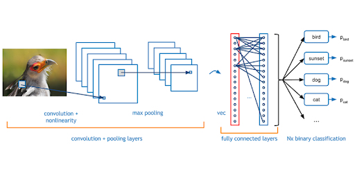 Download TF Classify (Google) PC - Install TF Classify (Google) on ...